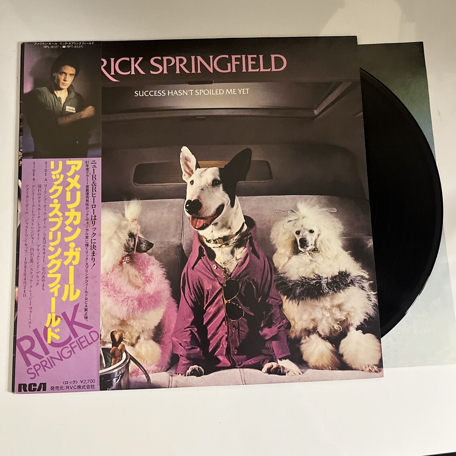 Rick Springfield – Success Hasn't Spoiled Me Yet 1982 LP Vinyl Record ...