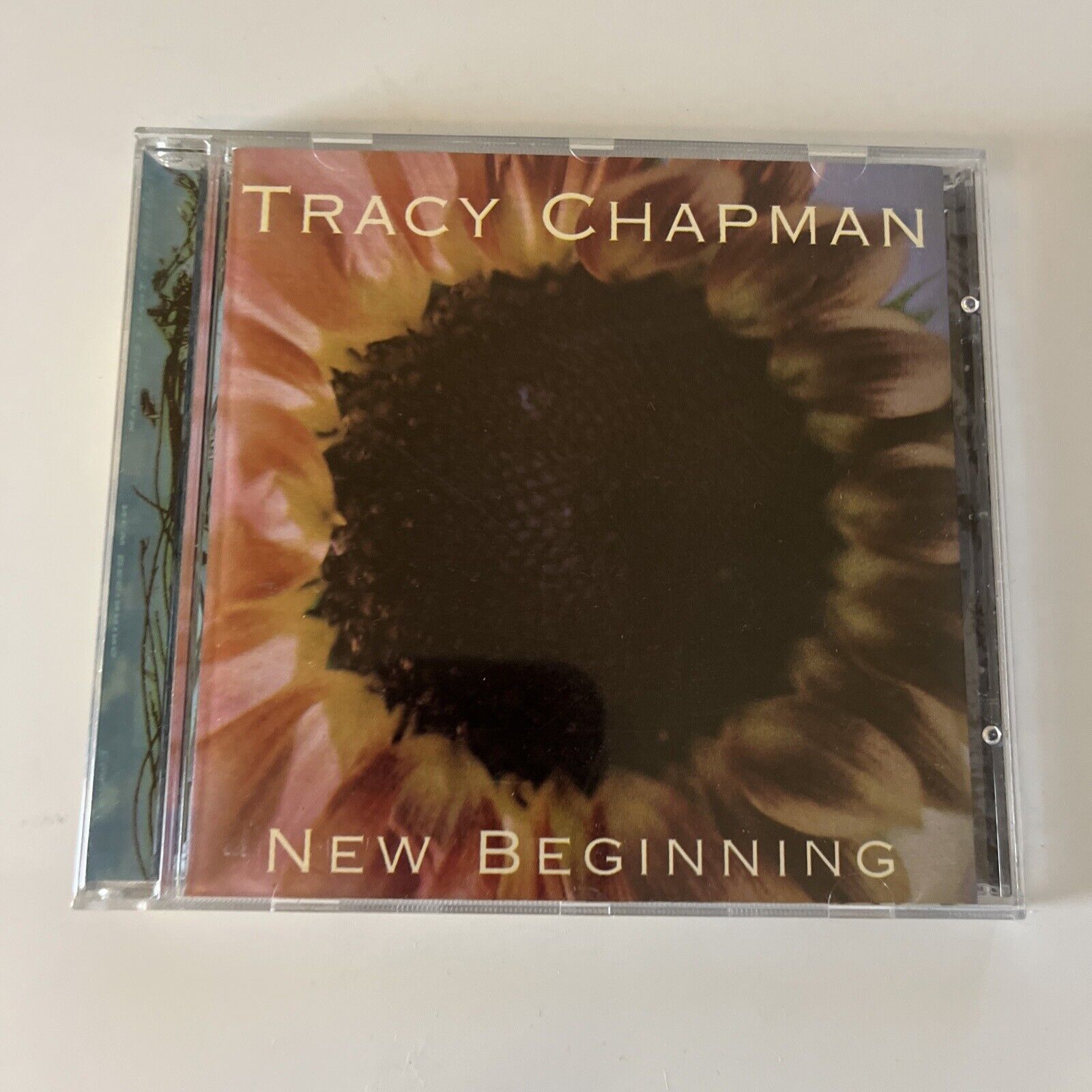 Tracy Chapman - New Beginning (CD, 1995) – Retro Unit