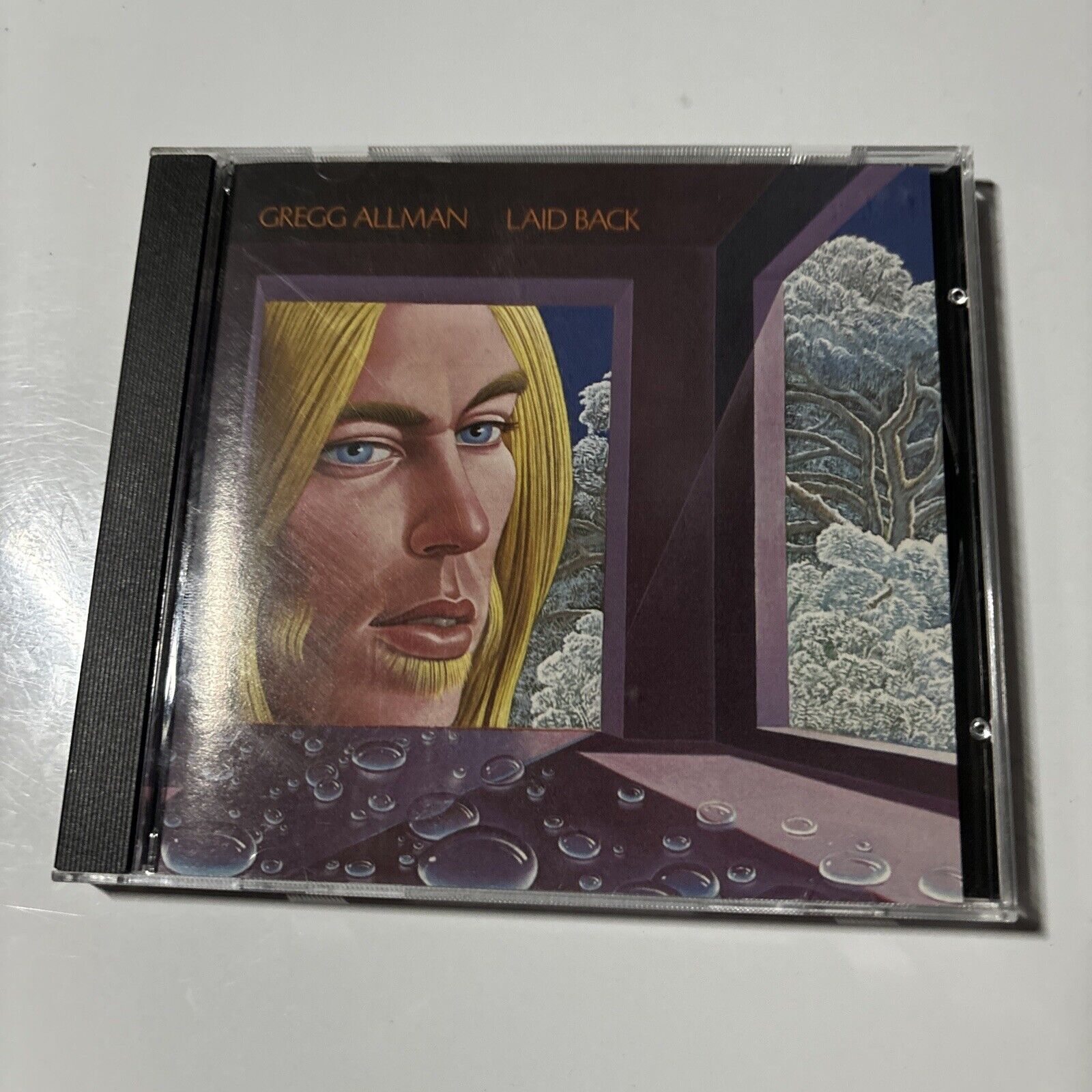 Gregg Allman - Laid Back (CD, 1973) Polydor – Retro Unit