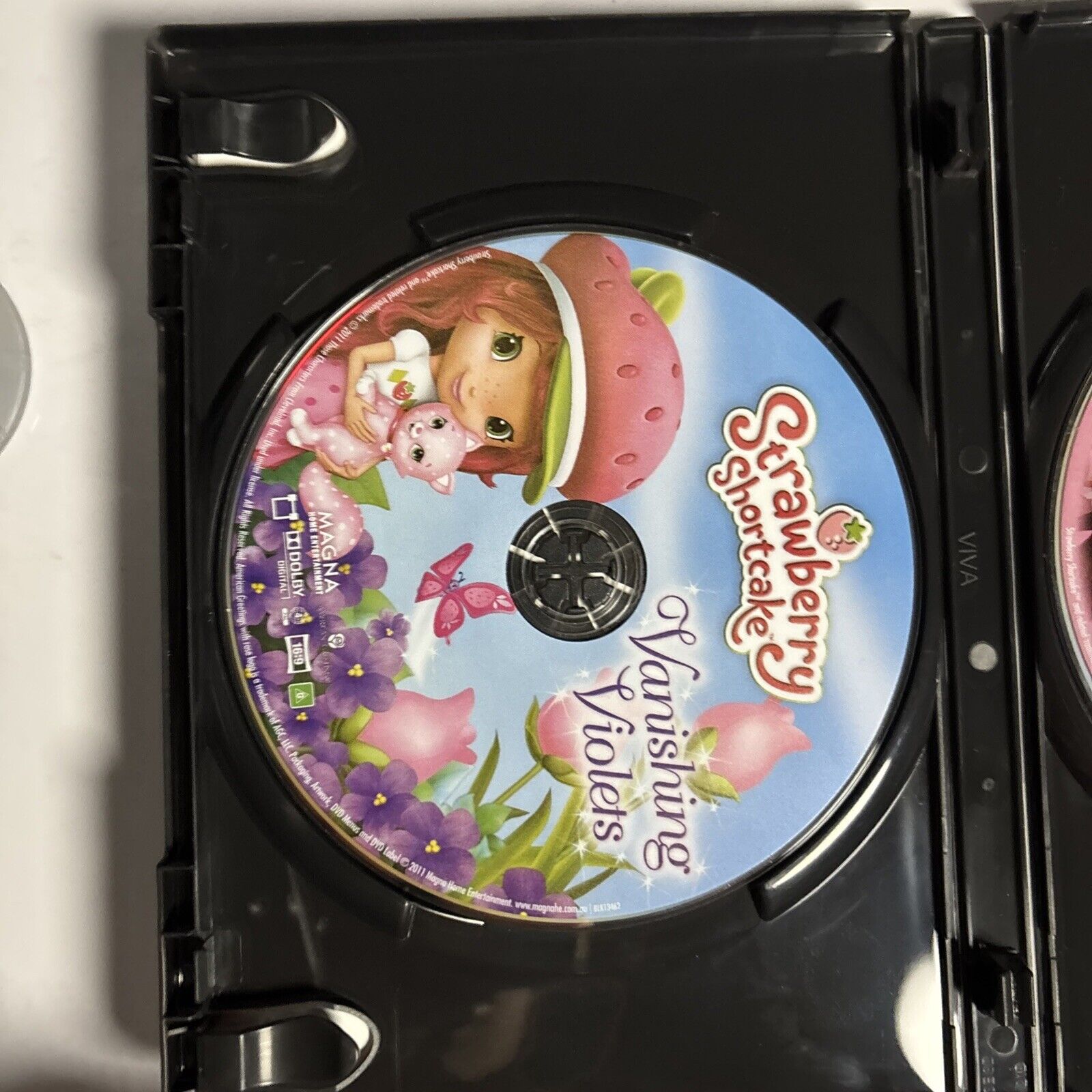 Strawberry Shortcake Vanishing Violets & Team For Two DVD Region 4 ...