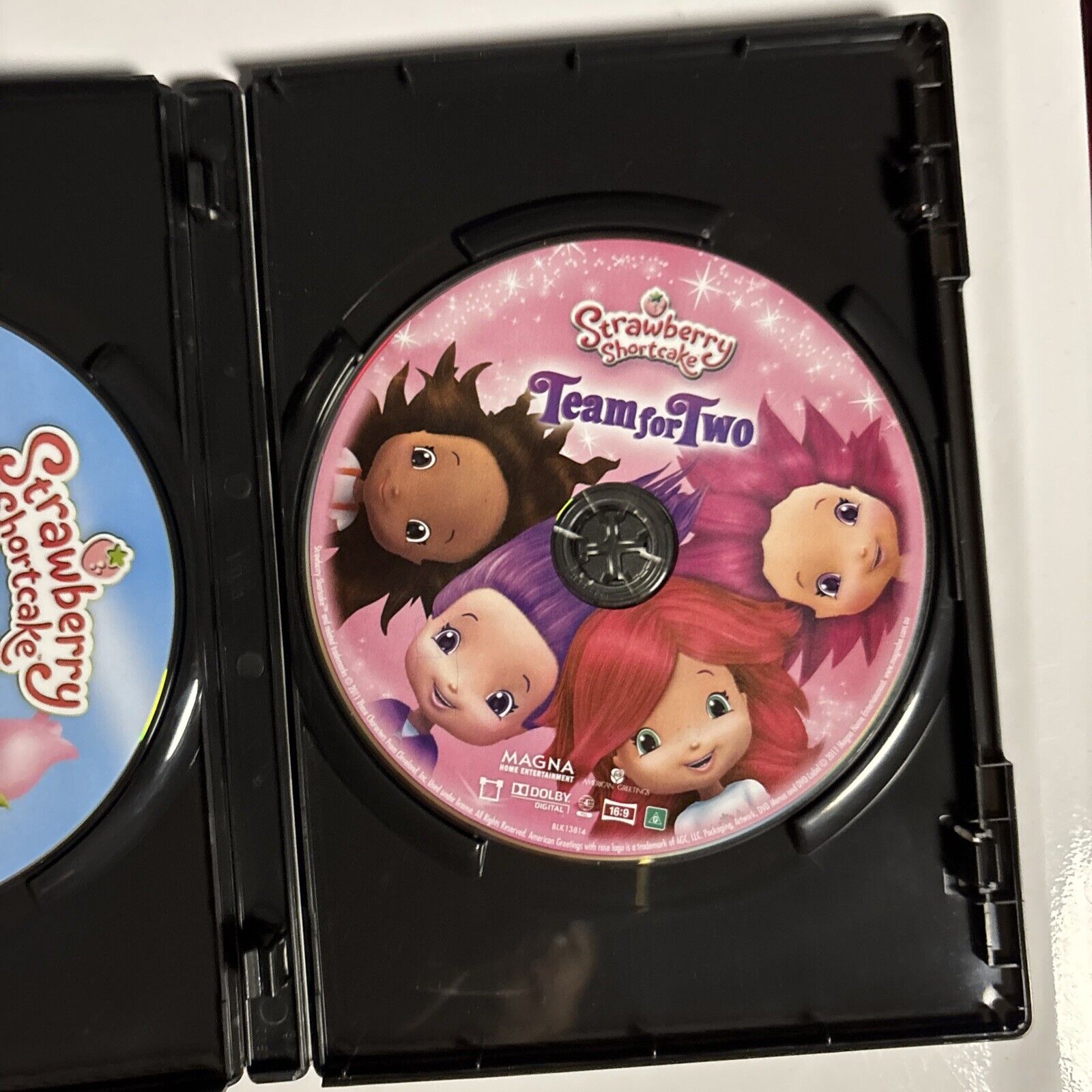 Strawberry Shortcake Vanishing Violets & Team For Two DVD Region 4 ...