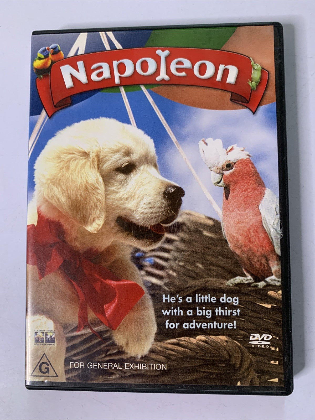 Napoleon (DVD, 1995) Philip Quest, Susan Lyons, Jamie Croft Region 4 ...