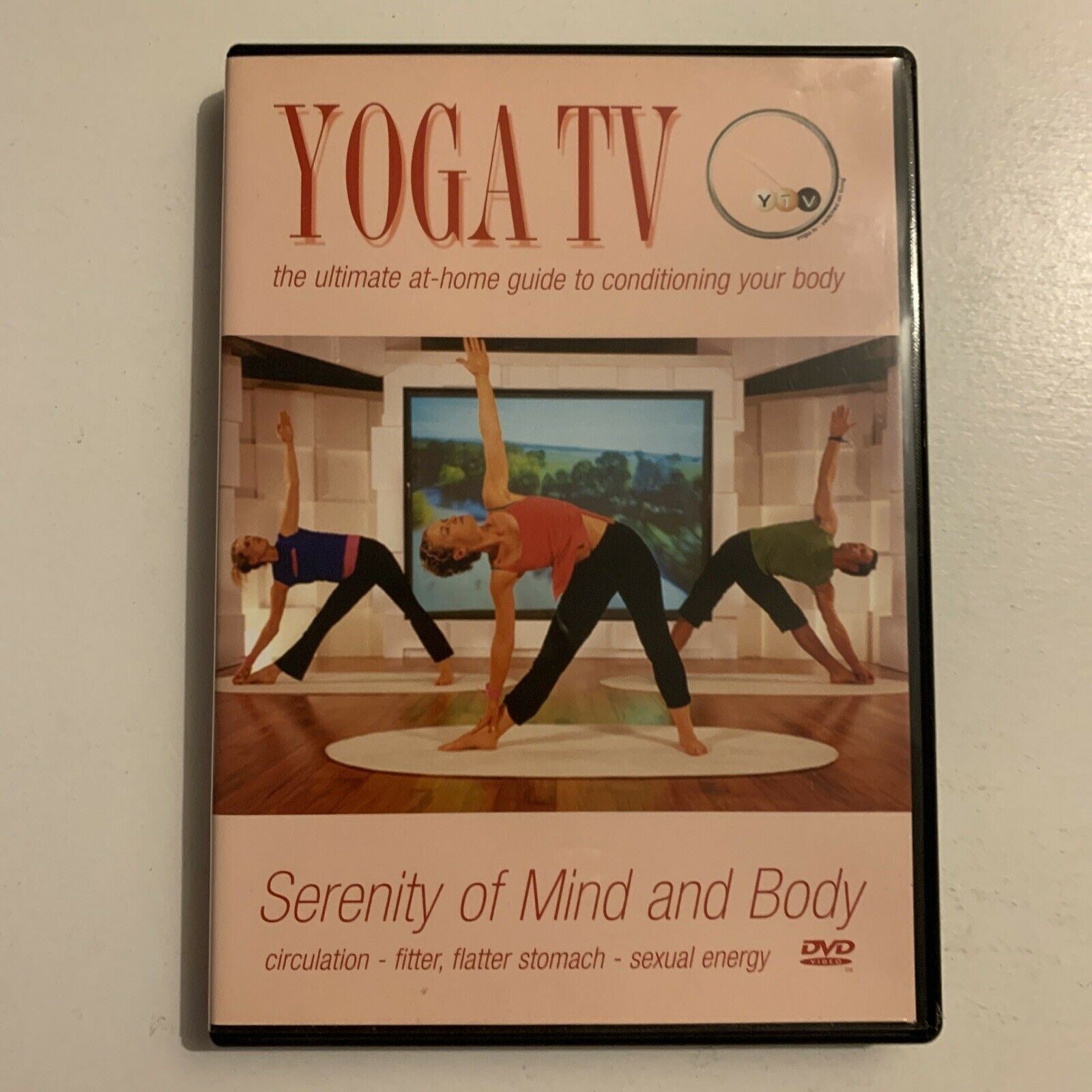 Yoga TV - Ultimate Guide To Conditioning Your Body (DVD, 2004) All Reg ...