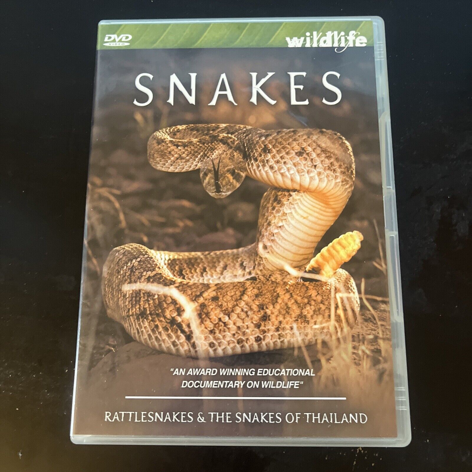 Snakes - Rattlesnakes & The Snakes of Thailand (DVD, 2004) All Regions ...