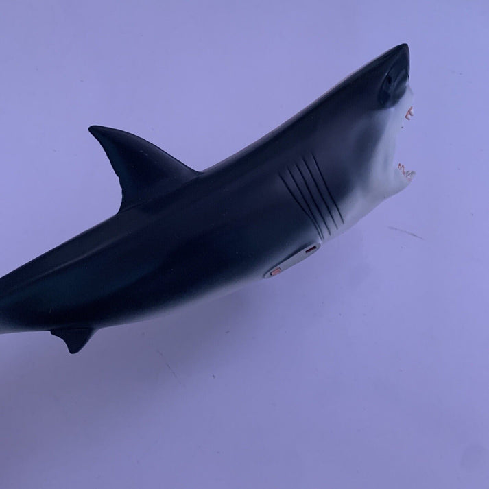 Great White Shark Anatomy Model 33cm – Retro Unit