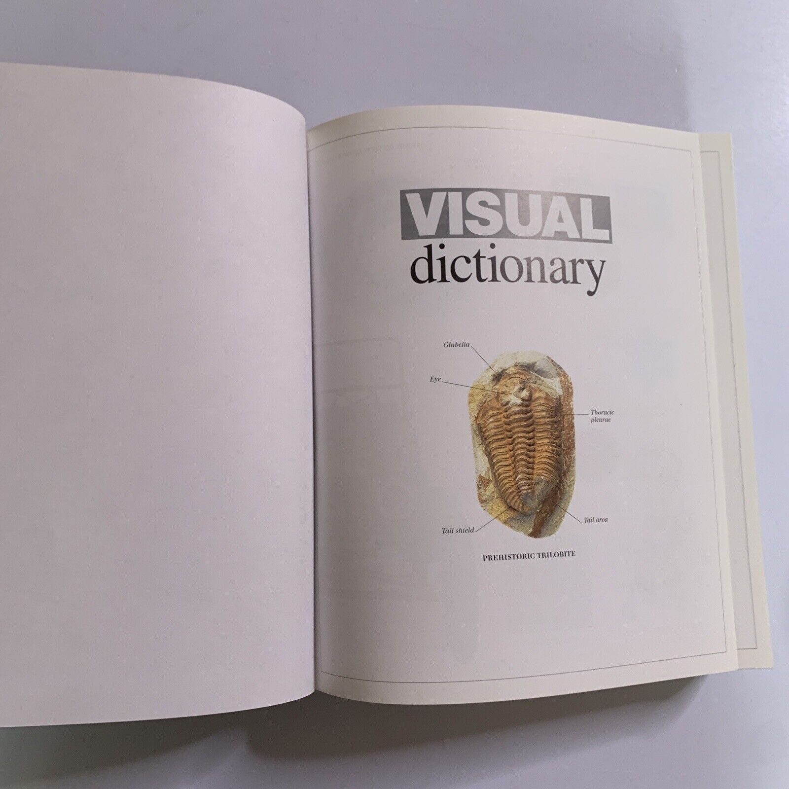 Ultimate Visual Dictionary By Dk Hardcover 2002 Retro Unit